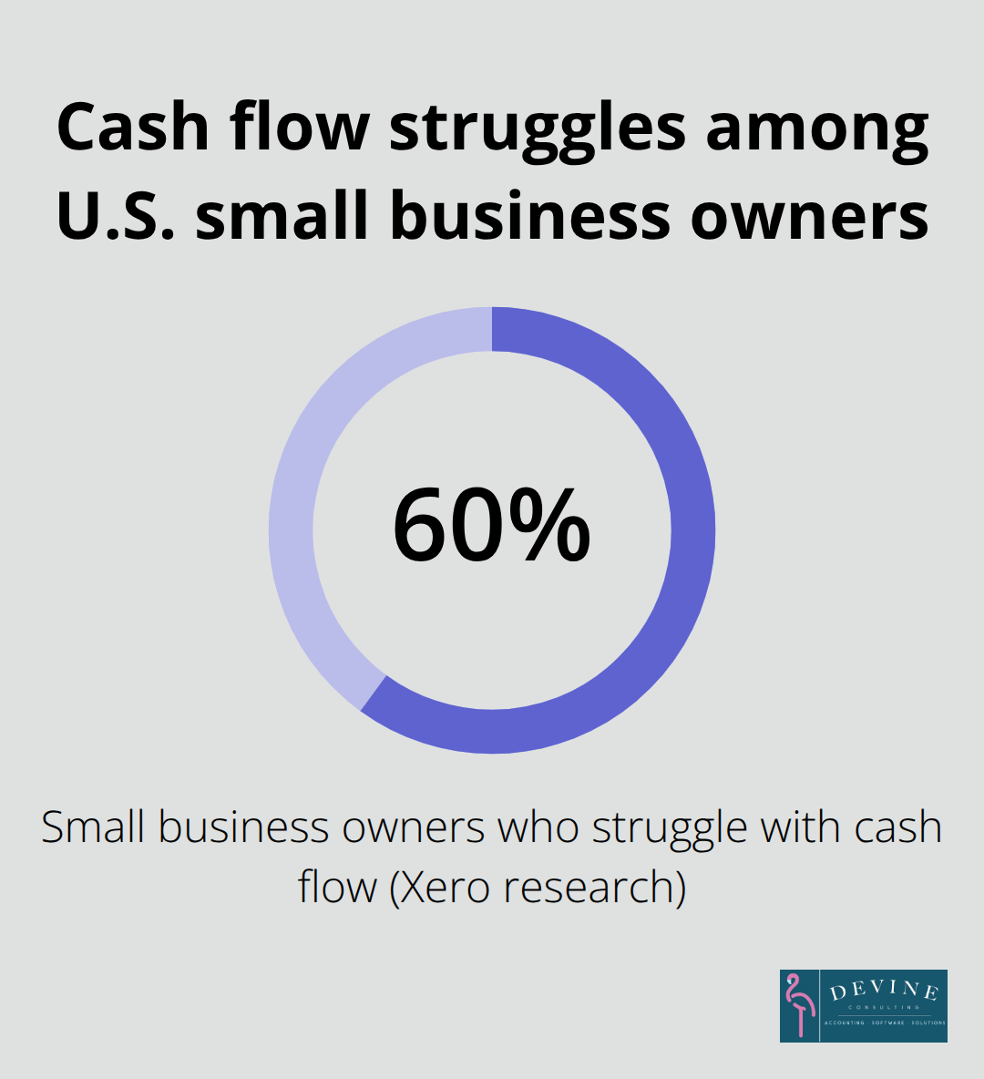 Best Virtual CFO Services for Growing Businesses - Devine Consulting